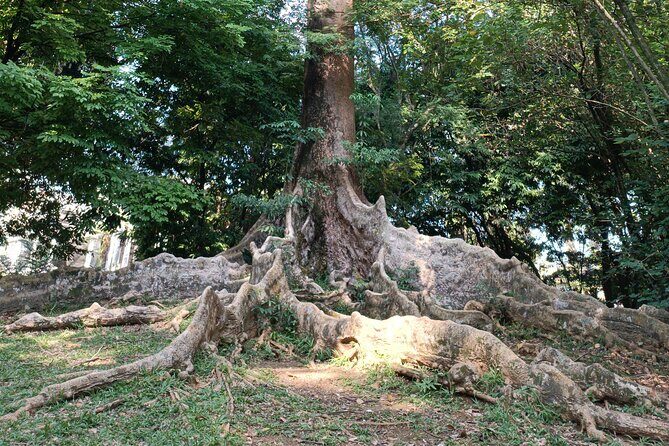 Botanical Garden And Miniature Park Of Indonesia Tour - Who Is This Tour Best For?