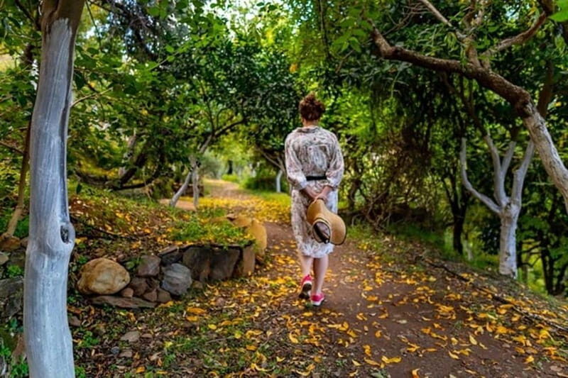 Botanical Garden & Aromas of the Wild Nature Adventures - Exploring Crete’s Untamed Side: Botanical Garden & Aromas of the Wild Nature Adventures