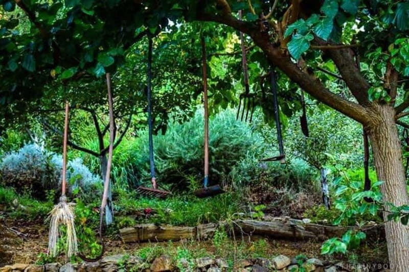 Botanical Garden & Aromas of the Wild Nature Adventures - Key Points