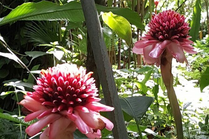 Botanical Garden Exploration - Key Points