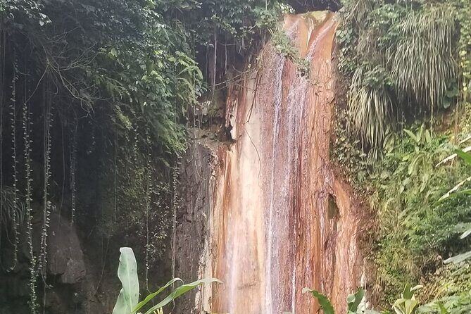 Botanical Garden Exploration - A Closer Look at the Tour Itinerary