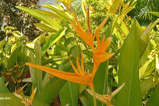 Botanical Garden Exploration - Final Thoughts