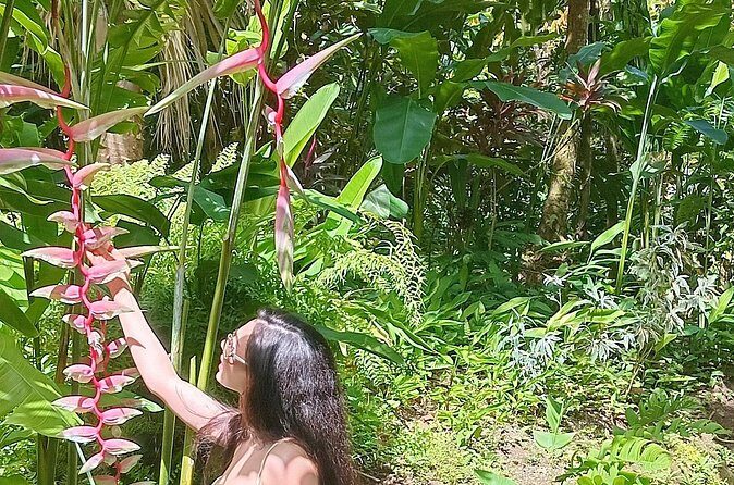 Botanical Garden Exploration - FAQs