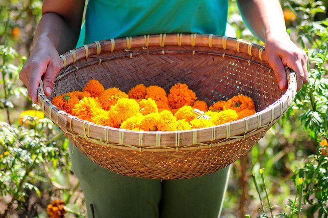 Botanical Tea work shop and Garden Tour - Exploring the Botanical Tea Workshop and Garden Tour in Ubud