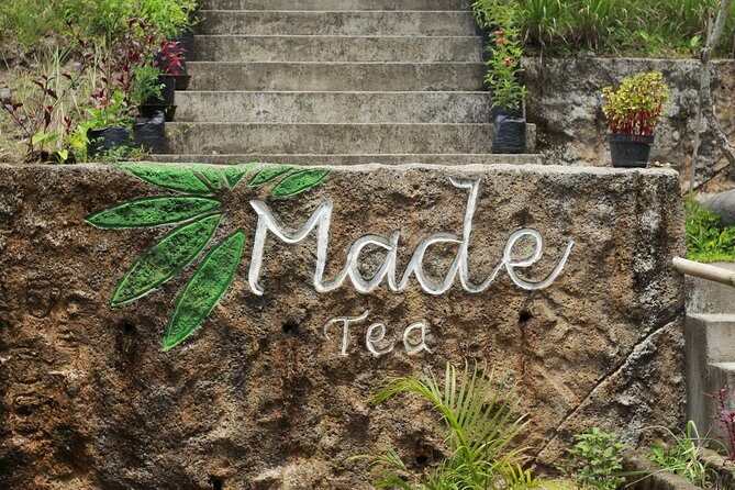 Botanical Tea work shop and Garden Tour - Authentic Insights from Travelers’ Reviews