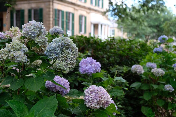 Botanical Tour (by Walk With Me Savannah Tours) - Key Points