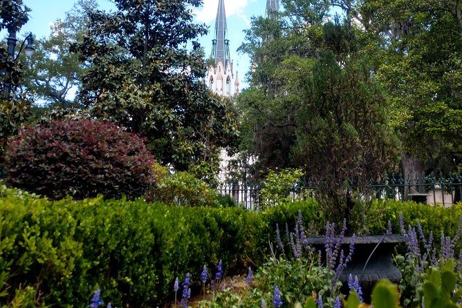 Botanical Tour (by Walk With Me Savannah Tours) - Authentic Experiences and Traveler Feedback
