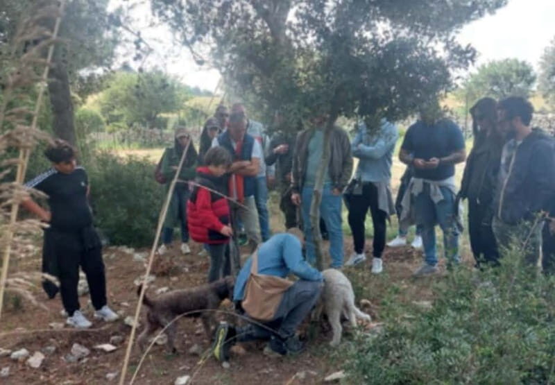 Botanical workshop & Nepeta's bitters tasting in Val di Noto - Key Points