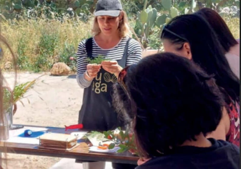 Botanical workshop & Nepeta's bitters tasting in Val di Noto - An Authentic Sicilian Experience Rooted in Nature and Tradition