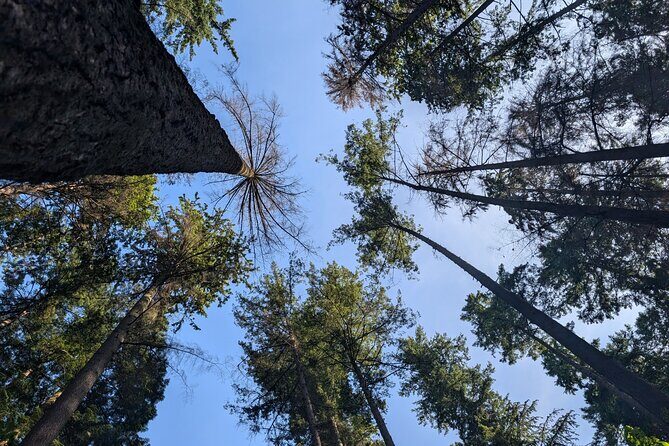 Botany of Witchcraft - An In-Depth Look at the Botany of Witchcraft Tour