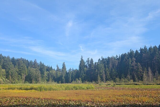 Botany of Witchcraft - Frequently Asked Questions