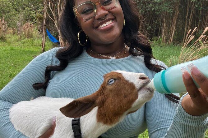 Bottle Feed & Cuddle Baby Goats Tour on Big Island Farm - The Detailed Itinerary Breakdown