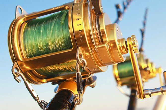 Bottom Fishing in Punta Cana (fishing guaranteed) - What Travelers Say (Based on Reviews)