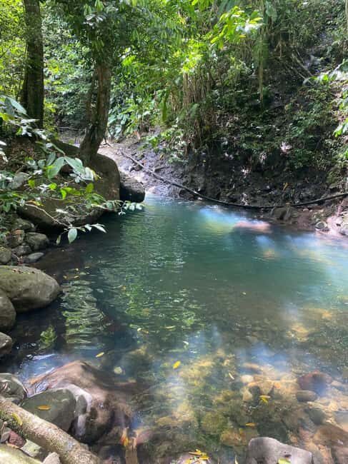 Bouillante Tour: Discover the city of hot water - A Closer Look at the Itinerary