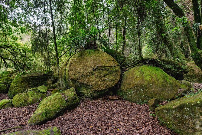 Boulders Scenic Float Tour on the Rangitikei River - An In-Depth Look at the Tour Experience