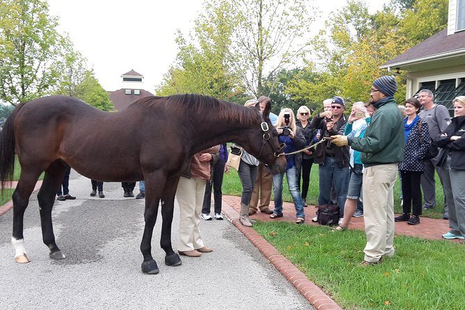 Bourbon Distillery & Horse Farm Tours - Final Thoughts