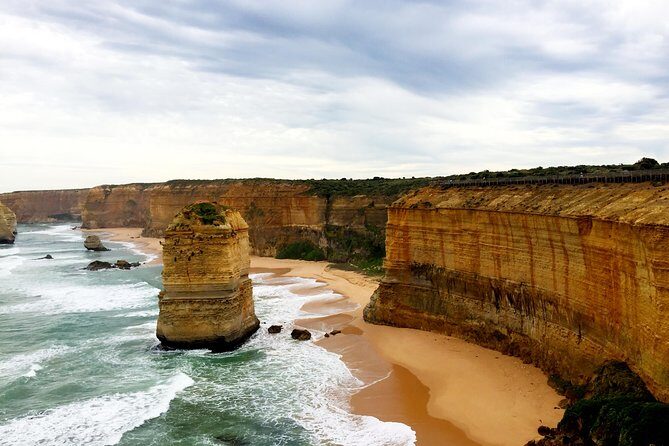 Boutique Great Ocean Road, wildlife and Rainforest Experience - Coastal Towns and Wildlife Encounters