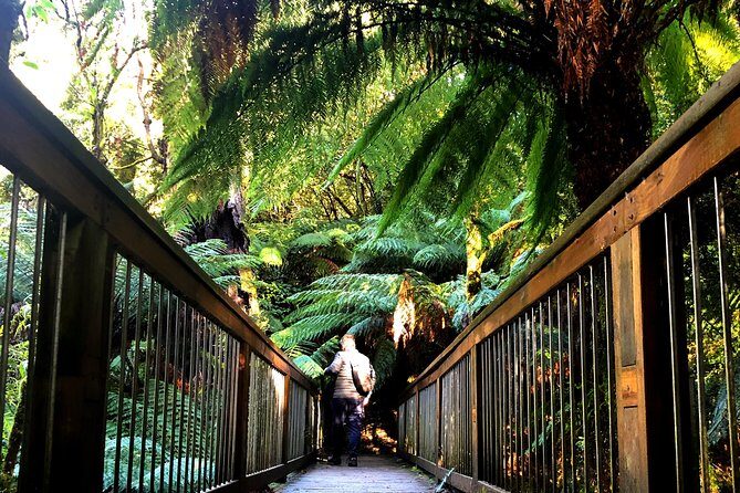 Boutique Great Ocean Road, wildlife and Rainforest Experience - Otway Rainforest and the Twelve Apostles: The Heart of the Day