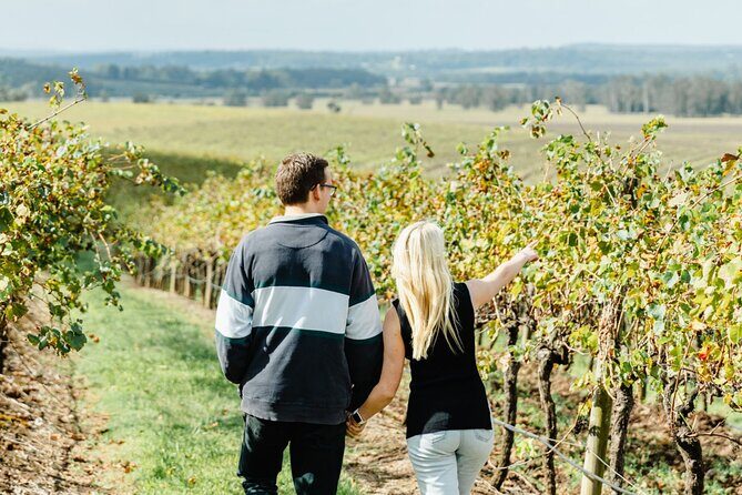 Boutique Hunter Valley Wine Tour from Newcastle - An In-Depth Look at the Hunter Valley Experience