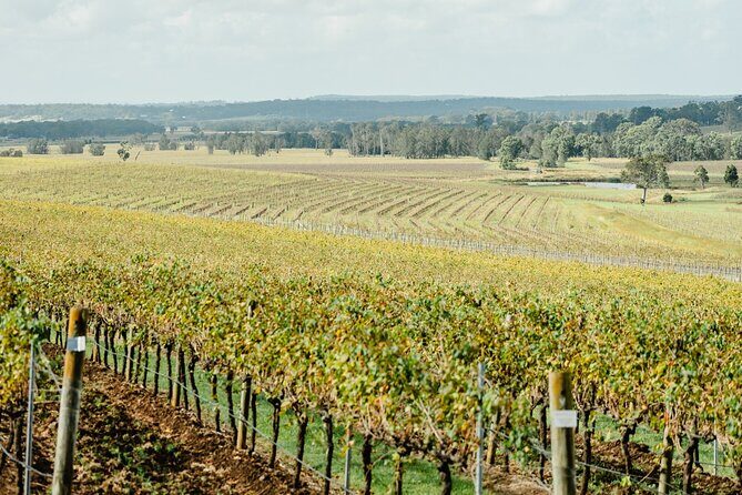 Boutique Hunter Valley Wine Tour from Newcastle - FAQ