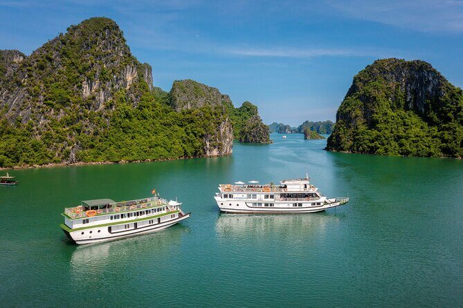 Boutique Overnight Cruises Halong Bay 2 Days 1 Night Tour - Key Points