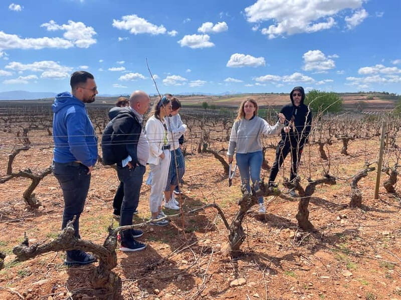 Boutique Rioja Wine Tour with Charming Lunch (From Bilbao) - Exploring the Boutique Rioja Wine Tour with Charming Lunch from Bilbao