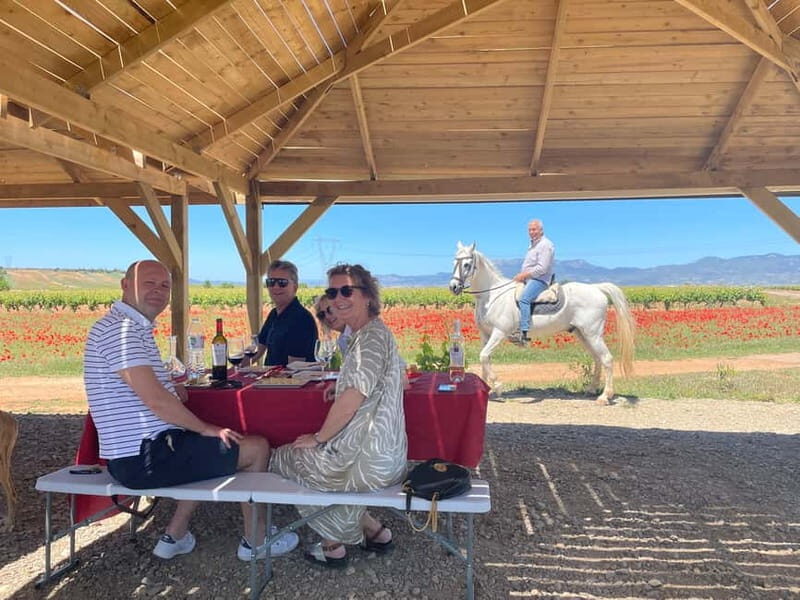 Boutique Rioja Wine Tour with Charming Lunch (From Bilbao) - Key Points