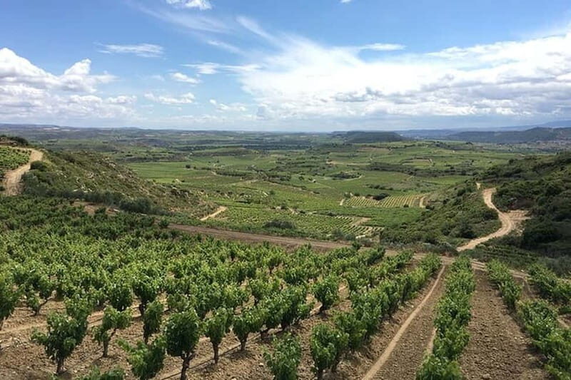 Boutique Rioja Wine Tour with Charming Lunch (From Bilbao) - Final Thoughts