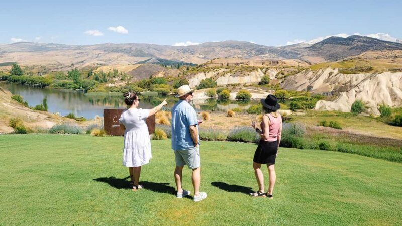 Boutique Winery Half-Day Tour & Vineyard Platter-Style Lunch - An In-Depth Look at the Tour Experience