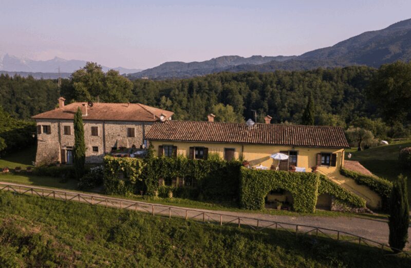 Boutique Winery Tour & Tasting in North Tuscany - An In-Depth Look at the Tour Experience