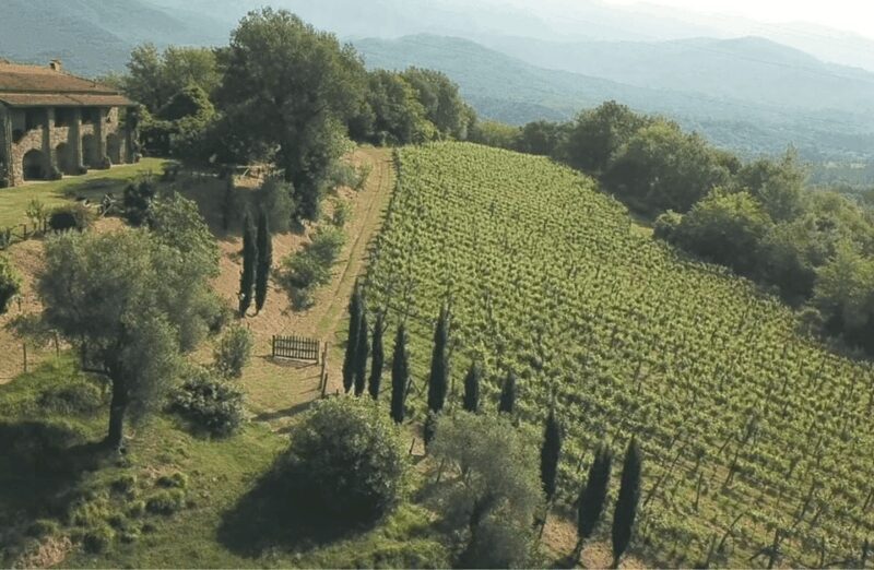 Boutique Winery Tour & Tasting in North Tuscany - Who Should Consider This Tour?