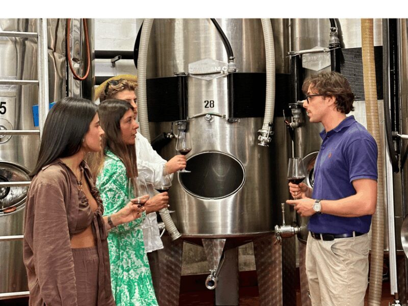 Boutique Winery Tour with Wine Tasting & Food in Bologna - Key Points