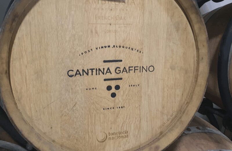 Boutique Winery Visit & Tasting near Rome - Discovering a True Taste of Italy’s Winemaking Near Rome