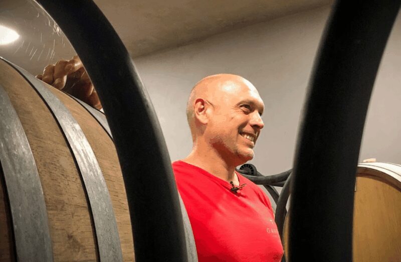 Boutique Winery Visit & Tasting near Rome - Practical Details to Consider