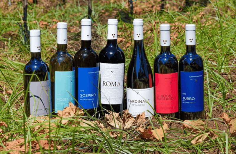 Boutique Winery Visit & Tasting near Rome - Final Thoughts: Is It Worth It?