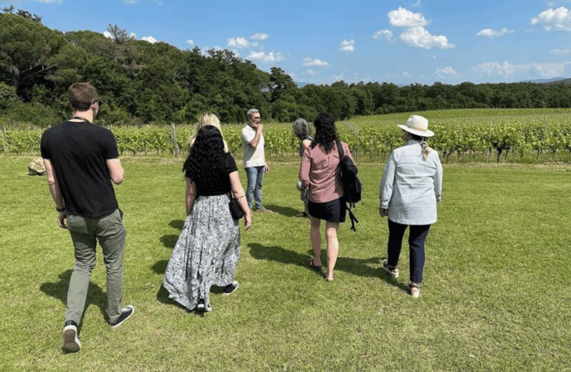 Boutique Winery Visit & Wine Tasting near Arezzo - The Experience: Authentic, Relaxed, and Scenic
