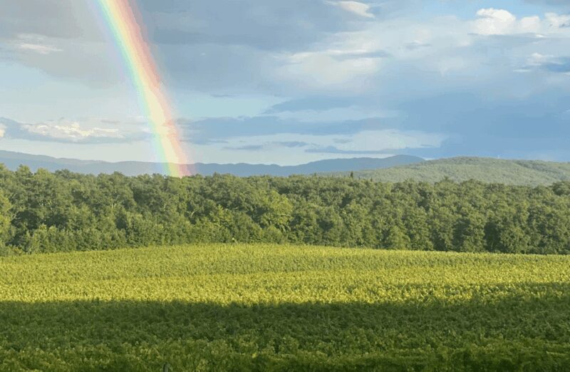 Boutique Winery Visit & Wine Tasting near Arezzo - FAQs