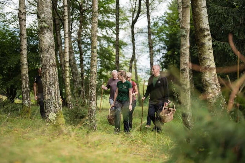 Bovec: Mushroom Picking and Culinary Session - An In-Depth Look at the Bovec Mushroom Picking and Culinary Session