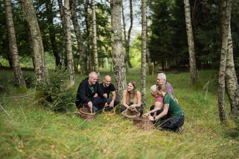 Bovec: Mushroom Picking and Culinary Session - Is This Tour Worth the Cost?