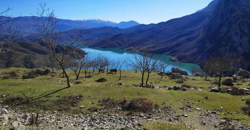 Bovilla Lake, Hiking and Swimming, Private Tour with SUVs - What to Expect from the Bovilla Lake Private Tour