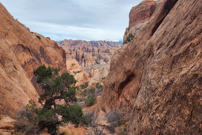 Bow and Arrow Canyon Hike and Rappel Adventure - Discovering Bow and Arrow Canyon: An Ideal Moab Adventure