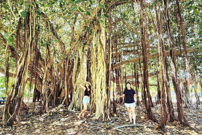 Bowen Beaches Discovery-Top of the Whitsundays - Authentic Experiences and Genuine Highlights