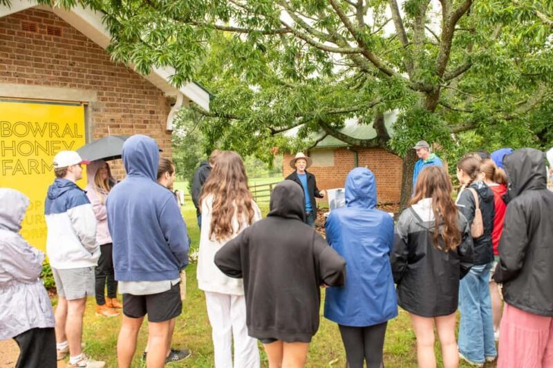 Bowral Honey Farm Tour, Honey Tasting & morning Tea - Key Points