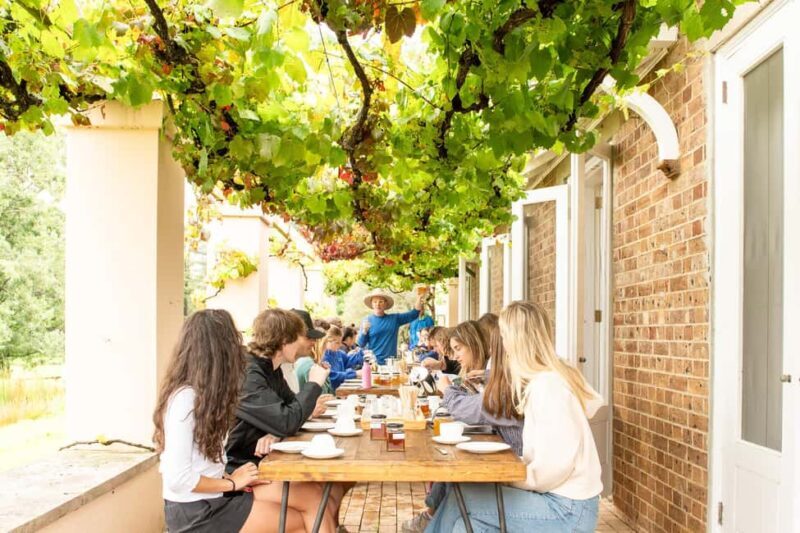 Bowral Honey Farm Tour, Honey Tasting & morning Tea - The Sum Up