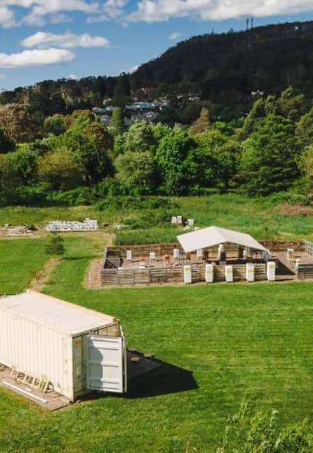 Bowral: Honey Tasting and Hive Opening with Morning Tea - FAQs