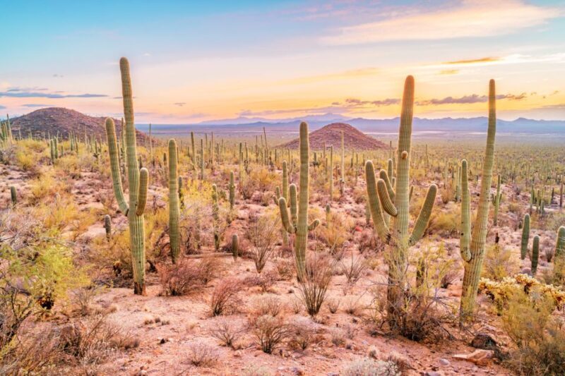 Box Canyon and Pinal Mountains Half-Day ATV Tour - Exploring Arizona’s Wild Side: The Box Canyon and Pinal Mountains Half-Day ATV Tour
