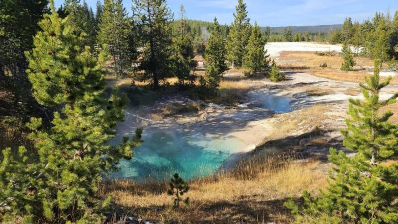 Bozeman: Yellowstone & Grand Teton National Park with Hotel - Introduction: A Guided Adventure Through Wyoming’s Best