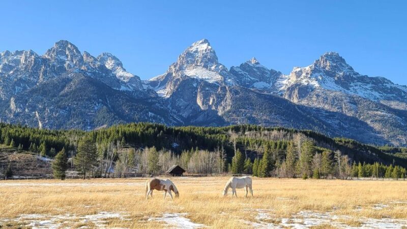 Bozeman: Yellowstone & Grand Teton National Park with Hotel - What Do Travelers Say?