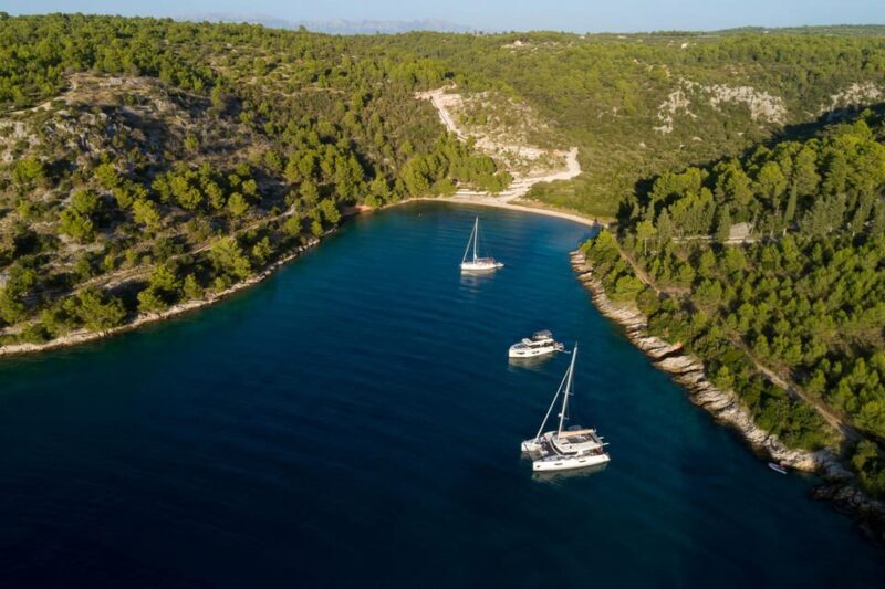 Bra (Golden Horn) half-day Private Boat Tour - Who Will Love This Tour?