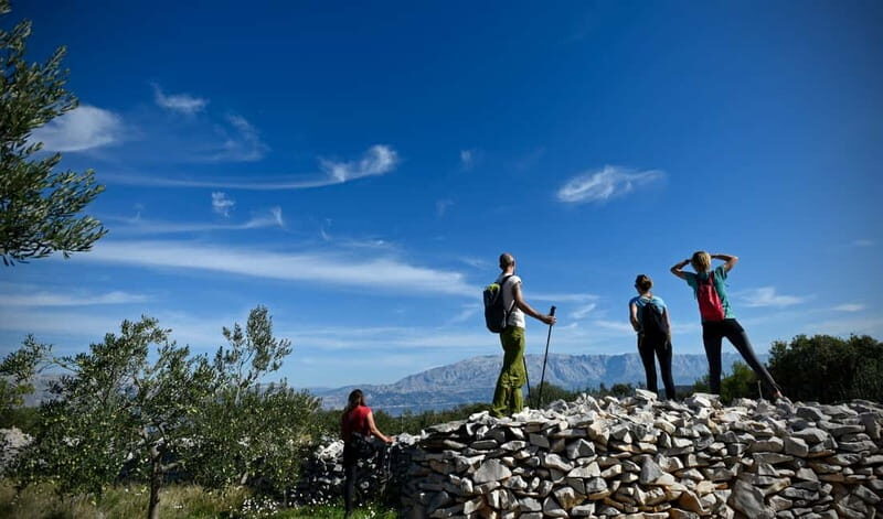 Bra island: Hiking Vidova gora krip Museum of olive oil - Key Points